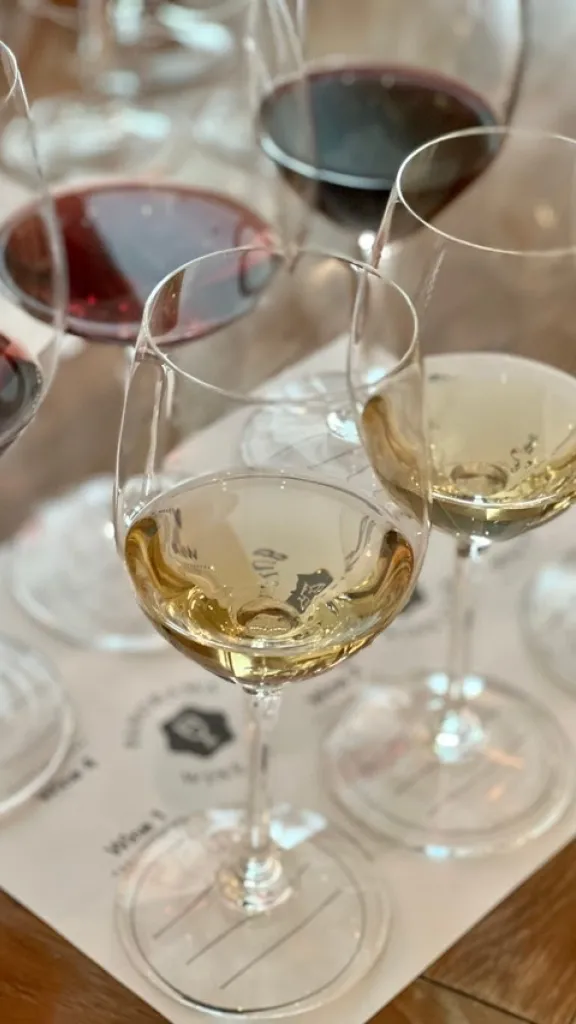 Wine Class: Spain & Portugal - European Summer Series Part 1 | Old City ...