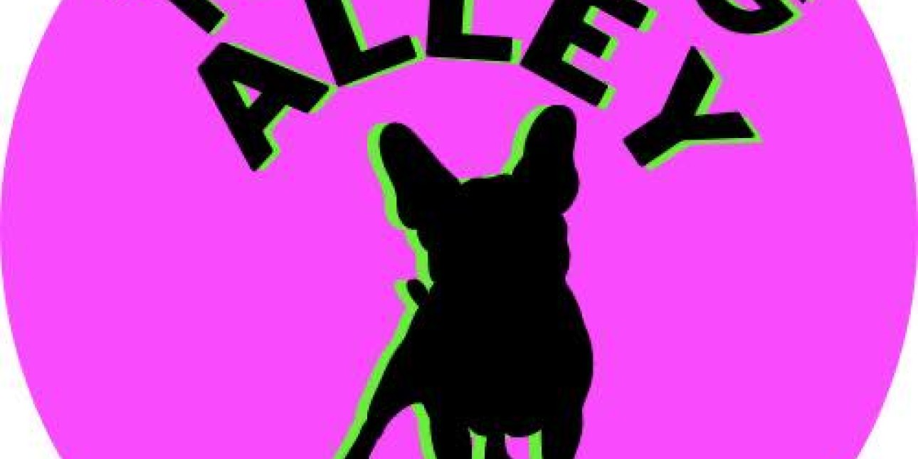 The Dog Alley | Old City District