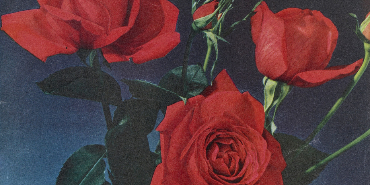 Wine, Roses, and Chocolate: How Romance and Science Work Together to ...