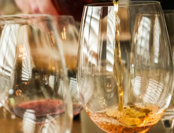 Society Commons | Old City District